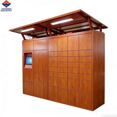 China Winnsen 24 Hour Self-Service Outdoor Parcel Locker, Electronic Smart Storage with WiFi for sale