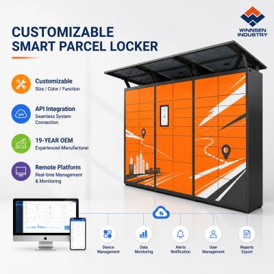China Winnsen C2C Smart Parcel Delivery Locker with 15