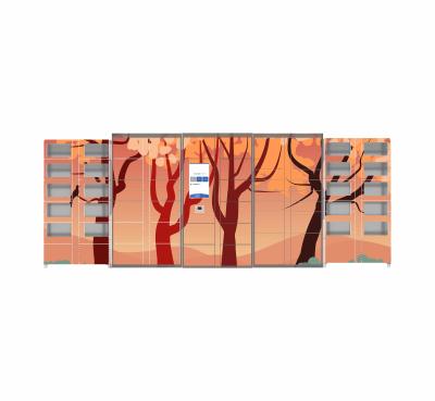 Cina Le porte trasparenti lavorano i metodi a macchina differenti Access di pagamento dell'armadio in vendita