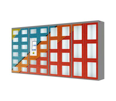 Cina Self service che vende la macchina 240V dell'armadio per opzione della macchina fotografica di verdura fresca in vendita