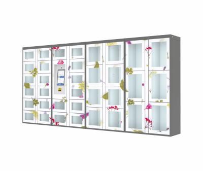 Cina Verdure che vendono armadio con opzione di raffreddamento dei contanti della carta di credito in vendita