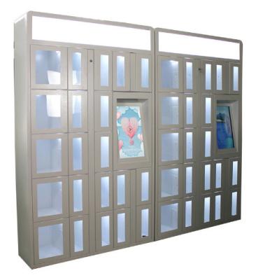 Cina 24 ore astute di Wifi GPL LNG che vende pagamento di credito di frutti delle verdure del cilindro di scambio di gas dell'armadio in vendita