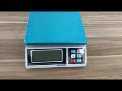 Digital Weighing Scale