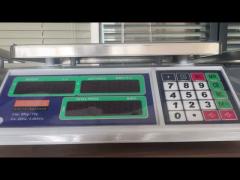 Backlight Grocery Weight Machine PC Printer Connection Double Platter Green LED