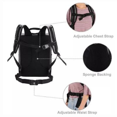 Cina Zaino di viaggio del trasportatore di Mesh Breathable Pet Dog Cat in vendita