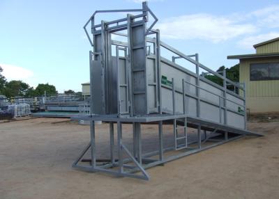 China Safety Rail Cattle Loading Ramp Durable Full Hot Dipped Galvanised Body for sale