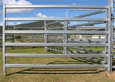 China Metal Cattle / Horse Fence Panels / Portable Corral Panels Corrosion Resistant for sale