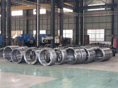 China Pelota de Ring Roller Die Feed Machinery da pelota da biomassa 2 a de 12mm que faz peças sobresselentes da máquina à venda