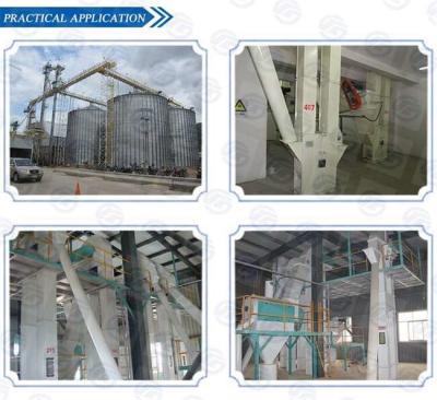 Cina elevatore di secchio verticale di acciaio inossidabile del grano degli elevatori di maneggio del materiale di 0.75kw 15tph in vendita
