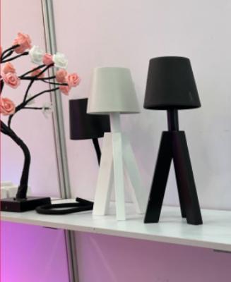 Cina Rechargeable Wooden Base Battery Operated Night Light For Nursery 200lm in vendita