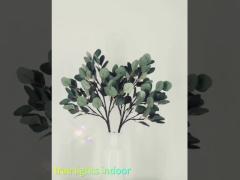 Room Decor, 20