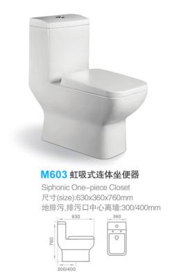 China Siphonic One-piece Closet for sale