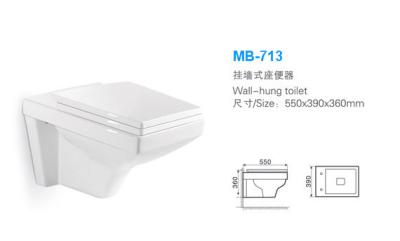 China Western design grade A quality ceramic concealed cistern wall hung pan MB-713 for sale