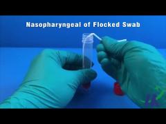Oral swab sampling display