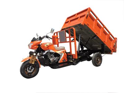 Cina Il carraio arancio/tre di 200cc 250cc tre spinge il motociclo del carico con il tetto del carico in vendita