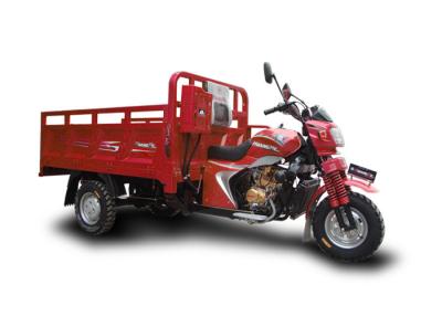Cina carico cinese Trike del triciclo del carico motorizzato 200CC con la consegna Van in vendita