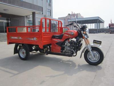 Cina Apra il motociclo del carico del triciclo/tre ruote del carico dell'onere gravoso 150CC del corpo in vendita
