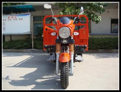 Cina Triciclo adulto di uso del carico del motociclo della ruota della benzina 250cc tre motorizzato in vendita