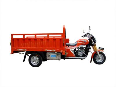 Cina Pedale motorizzato Adulto di Venta Caliente Triciclo del motociclo del carico di tre ruote in vendita