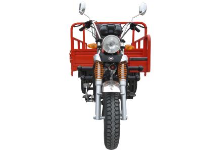Cina Personalizzi l'immondizia aperto-chiuso 111 del motociclo del carico di tre ruote - 150cc in vendita