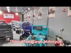 1000 kg de carga máxima Motocicleta de carga de 3 rodas com método de embalagem CKD e alta capacidade de carga