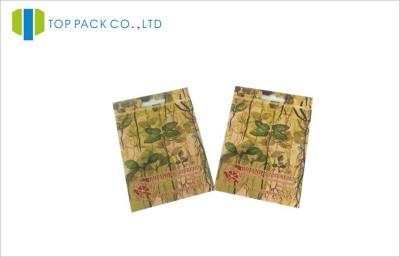Cina Semi aperti laminati stampati che immagazzinano, euro foro del fondo della cima della chiusura lampo dei sacchetti della carta kraft in vendita