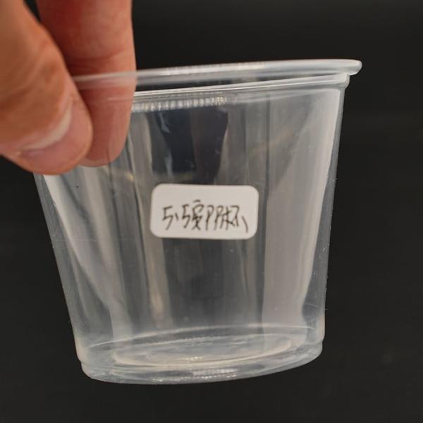 Quality Eco Friendly 5.5oz PP Plastic Containers Food Grade Plastic Container For Sauce for sale