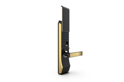China Slip Cover LCD Screen  Electronic Fingerprint Door Lock , Smart Door Lock Fingerprint Identification with Password for sale