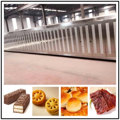 China CE ISO9001 Stainless Steel Baking Tunnel Oven for Food Baking Machine for sale