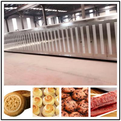 China Stainless Steel Baking Tunnel Oven for Food Baking Machine with Lower Price for sale