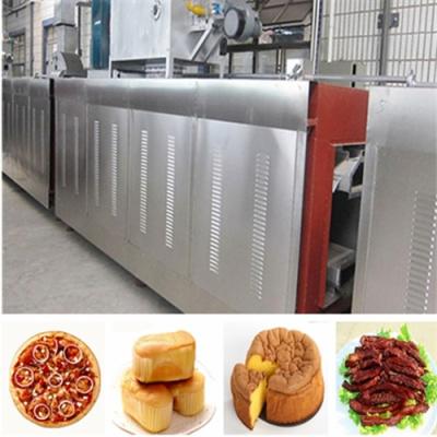 China Stainless Steel Baking Tunnel Oven for Food Baking Machine with Lower Price for sale