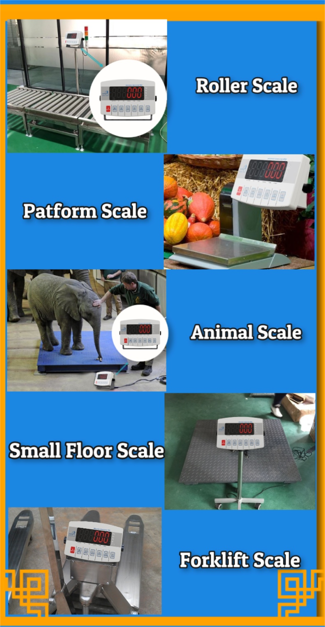 Electronic Digital Weighting Scale High Quality Weighing indicator Electronic Stainless Steel instrument scales manufacturer