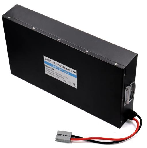 Customized LFP battery pack with professional casing