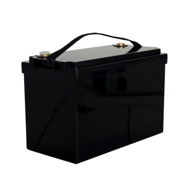 Customized LiFePO4 battery pack side view