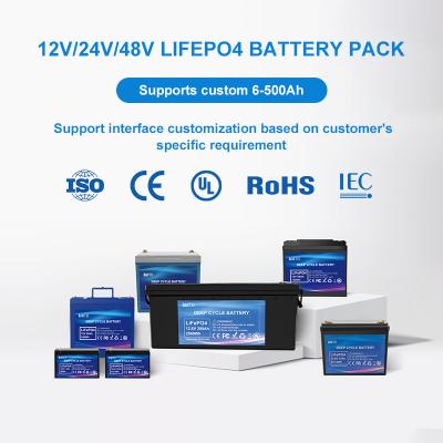Cina Batteria LiFePO4 a 12Ah per biciclette elettriche in vendita