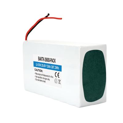 Cina 26650 25,6V 12Ah LiFePO4 Battery Pack per lo stoccaggio dell'energia solare UPS EV RV in vendita