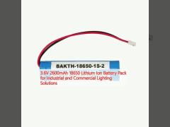 3.6V 2600mAh 18650 Lithium Ion Battery Pack for Industrial and Commercial Lighting Solutions