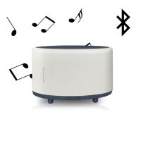 China Ultrasonic Humidifier with Bluetooth Speaker 7 LED Lights Aromatherapy Diffuser 300ml for sale