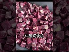 Industrial Compact And Safe Frozen Meat Cutter Frozen Beef Pork Dices Cutter