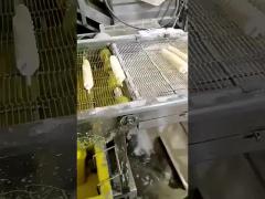 battering  machine coating line