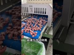 pusher type electric frozen meat cutter machine meat processing equipment 7.5kw
