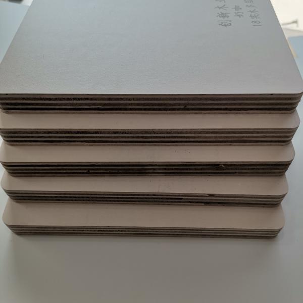 Quality Wholesale 2440*1220mm Solid Wood Multi-Layer Ecological Board Melamine Paper for Kitchen Use for sale