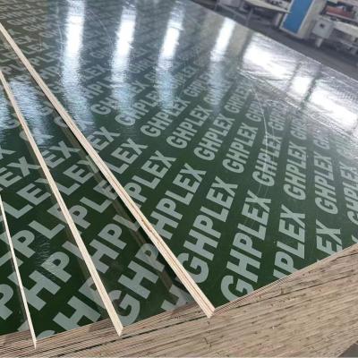 China High Quality 4x8 18mm Green Formwork Film Faced Plywood Modern Poplar High Strength Construction Board with Logo for Marine Use for sale