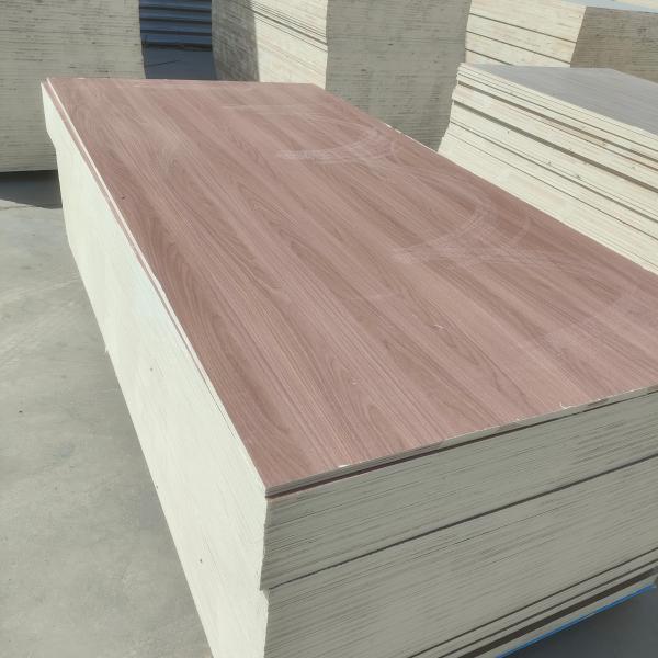 Quality High Quality 18mm Melamine-Faced Waterproof Plywood Furniture Non-Slip 3D Spacious Classic Wilde-Werbung Function E1 for sale