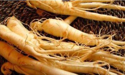 China Ginseng Extract Ginsenoside over 8% for sale