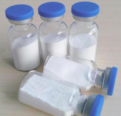 China food grade/pharmaceutic grade carnosine, cas305-84-0  used in healthcare products, foods and cosmetics additivity for sale