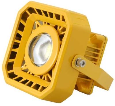 China 80W LED Explosion-proof Light with IP66 Protection Grade, COB High Brightness for sale