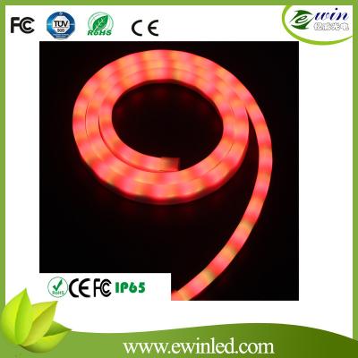 China 110V RGB LED Neon Flex with CE ROHS Approval,with Factory price for sale