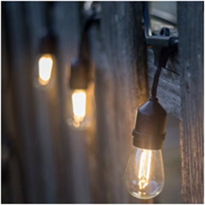 China 48ft 15PCS 24PCS sockets Waterproof Commercial S14 LED Christmas Vintage String Lights for sale