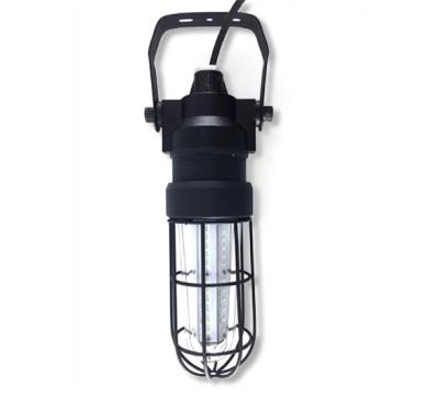 China Portable LED Explosion Proof Work Light for Class I Div 1 & 2 Hazardous Areas for sale